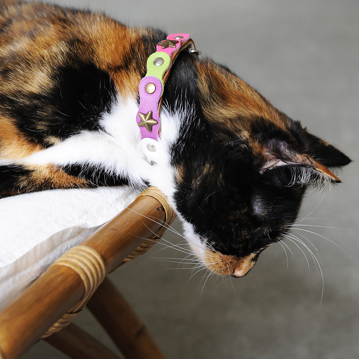 Luxury Leather Purple Cat Collars - Handmade in Spain