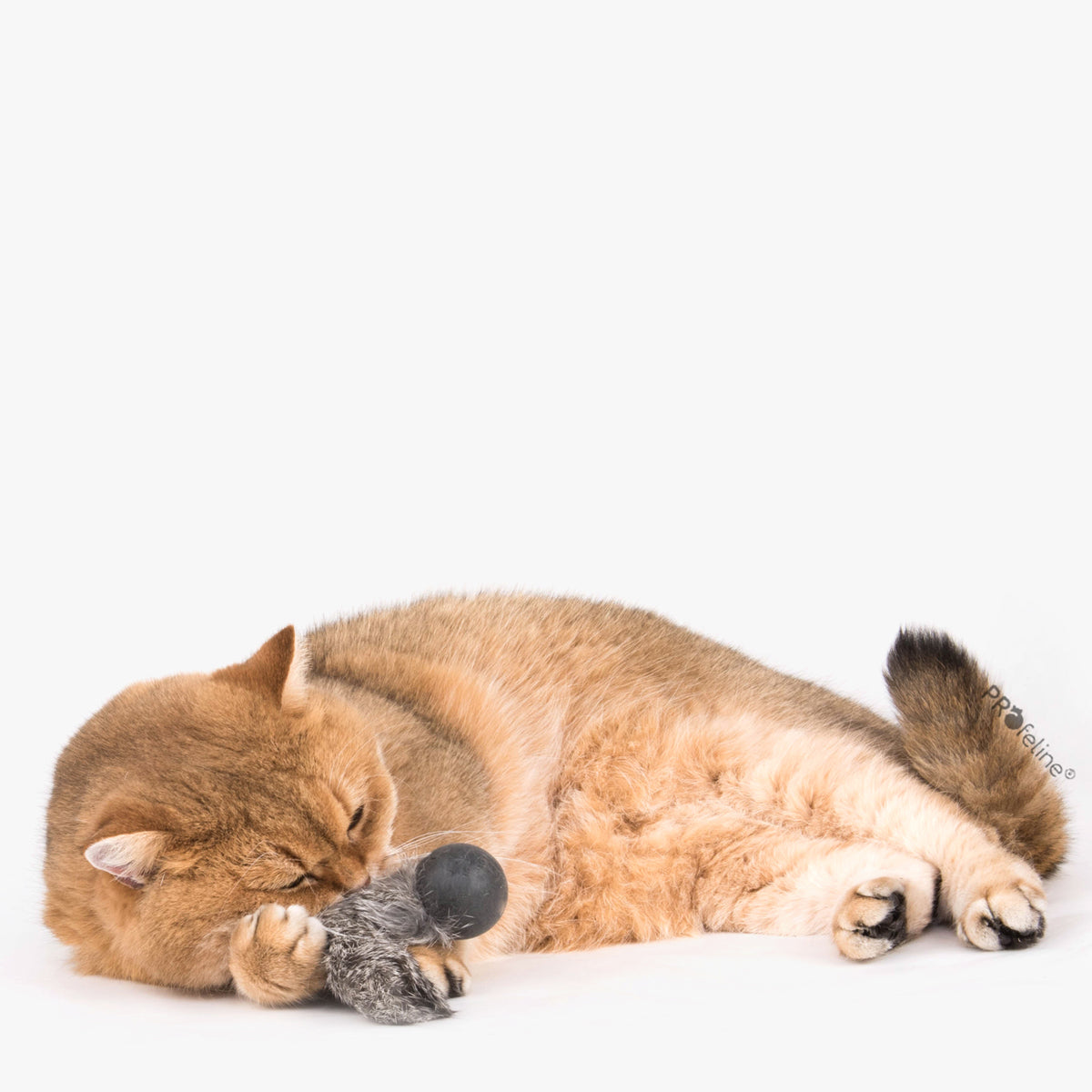 Furry Pong Cat Toy: Engaging Rabbit Fur and Rattling Delight