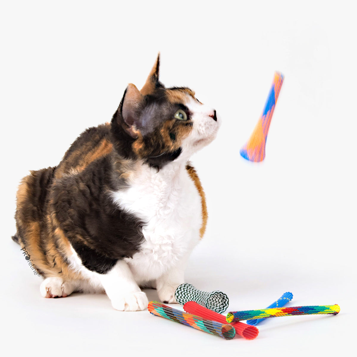 Kitty Boink: The Ultimate Cat Spring Toy for Solo & Interactive Play