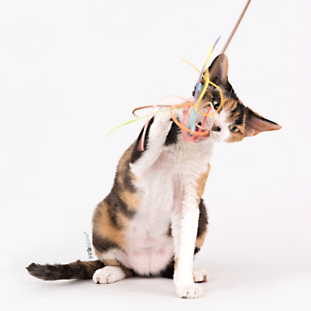 Cat Teaser Suede Tassel: An Enticing Toy with Leather Strips