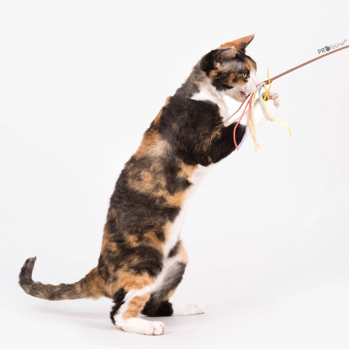 Cat Teaser Suede Tassel: An Enticing Toy with Leather Strips