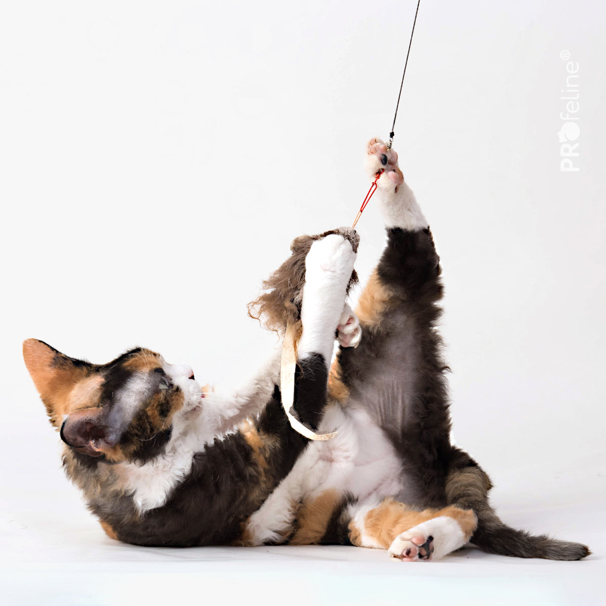 Cheeky Little Opossum Mouse – Toy For Active Indoor Cats!