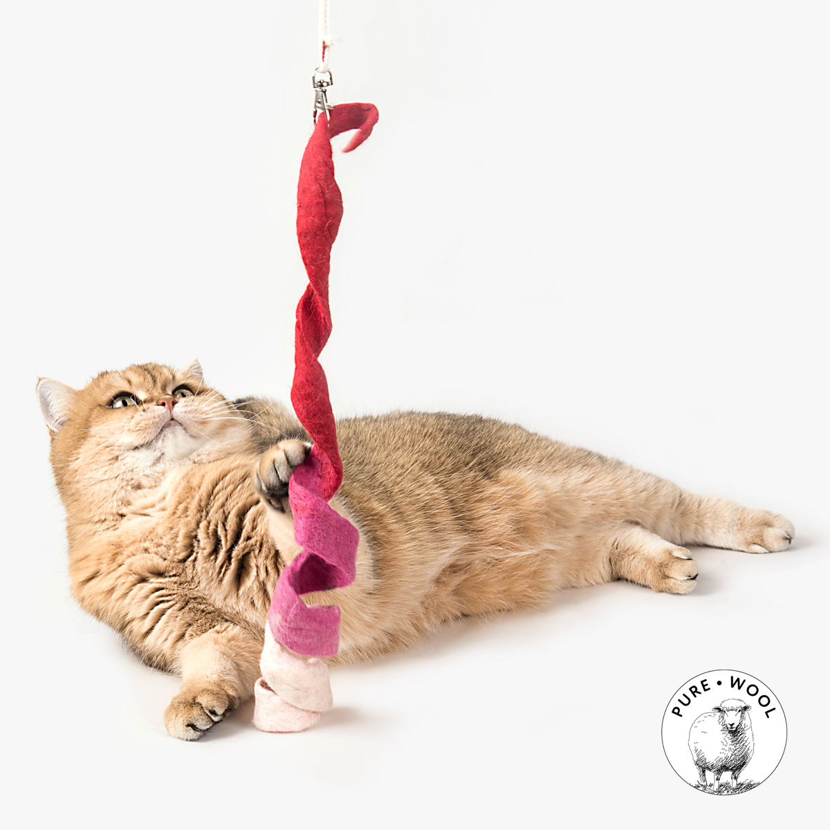 Get Your Paws on the Cat Wand Woody for Dynamic Playtime with Your Cat