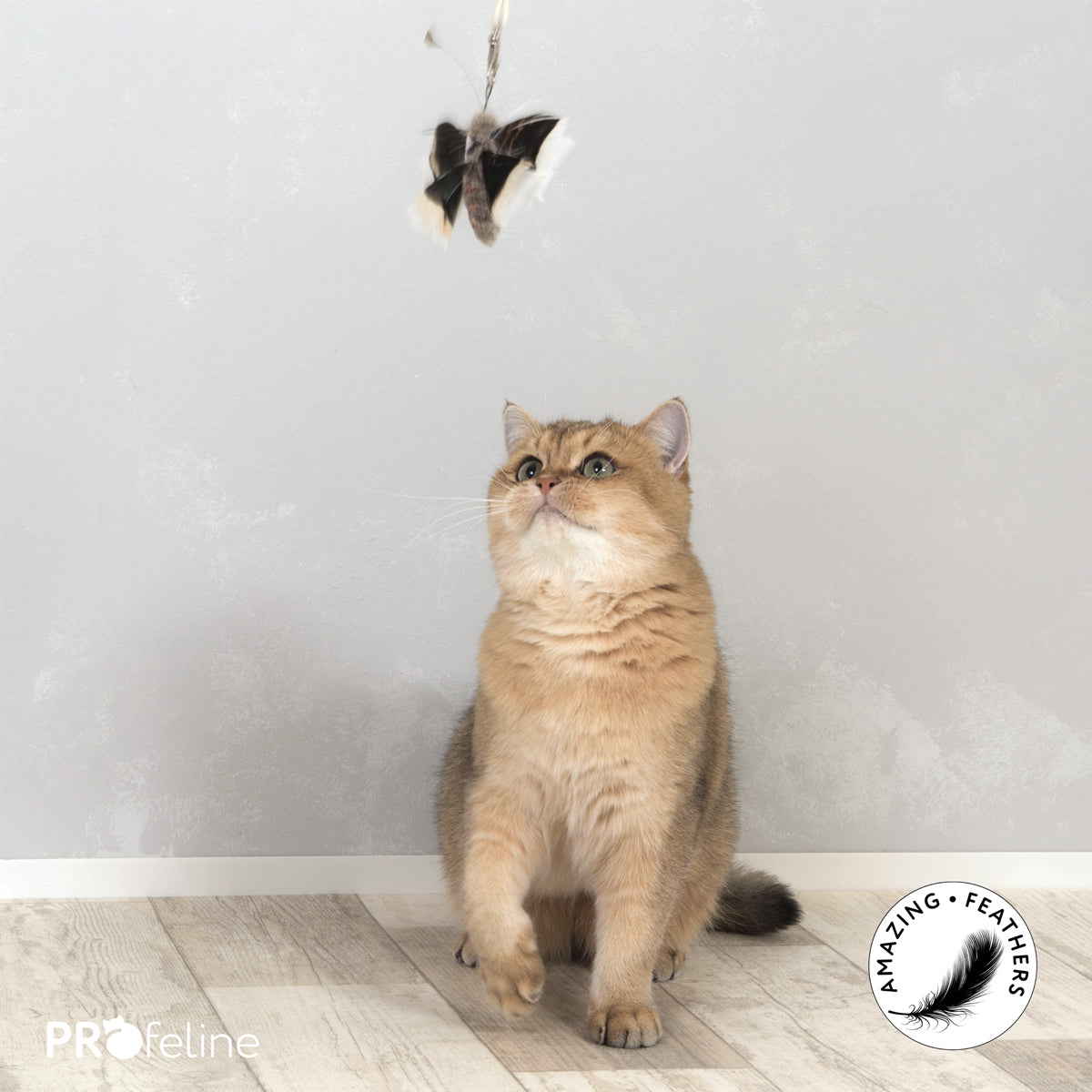 Big Flutter Moth: The Cat Toy Refill for Hours of 'Cat Fishing' Fun