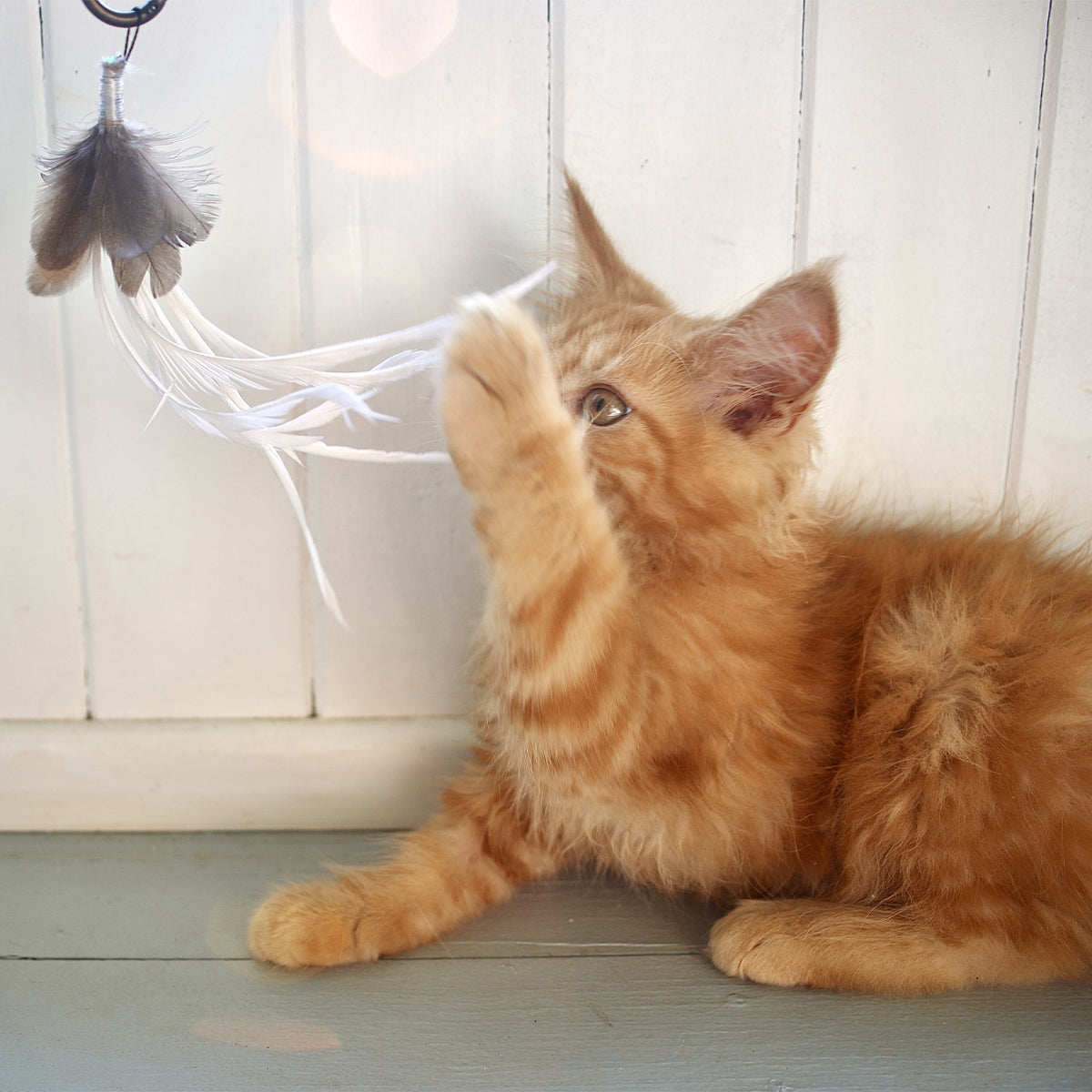 Tickle Tease: Add Fun to Your Cat's Playtime with Feather Cat Toy