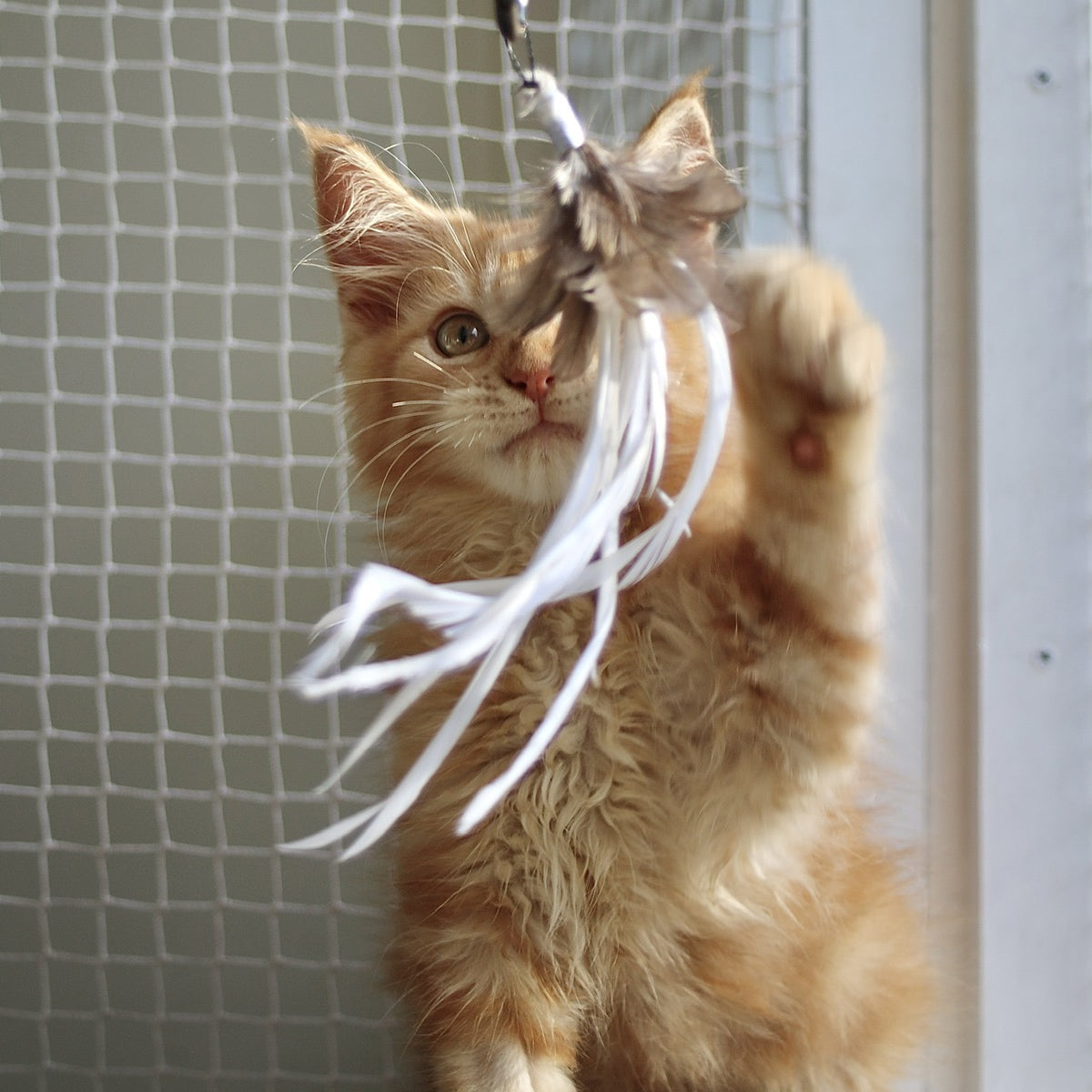 Tickle Tease: Add Fun to Your Cat's Playtime with Feather Cat Toy