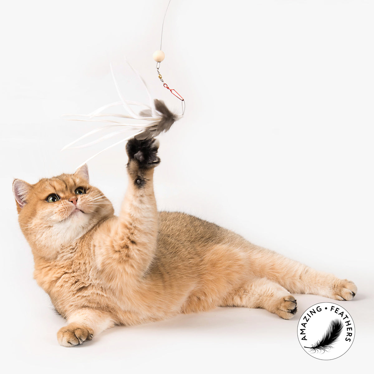 Tickle Tease: Add Fun to Your Cat's Playtime with Feather Cat Toy