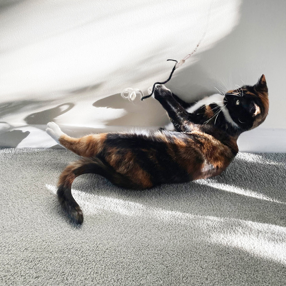 Entice Your Feline Friend with Ecological Wool Cat Spring Toys