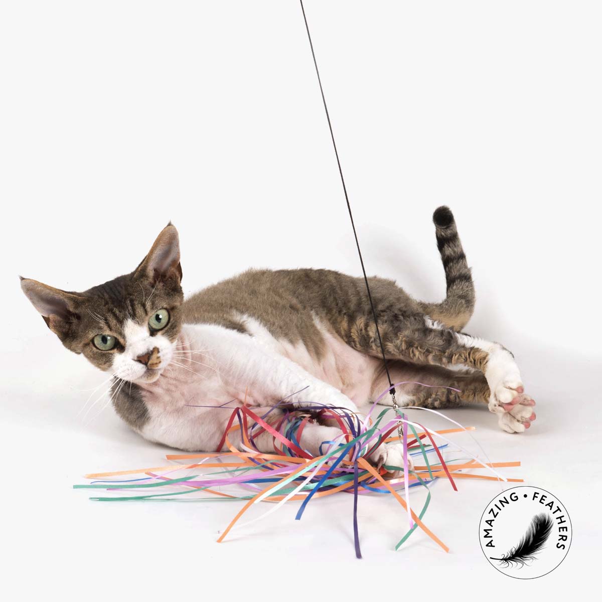 Fluttery Fringe Cat Toy: A Colorful & Playful Attachment for Cat Wands