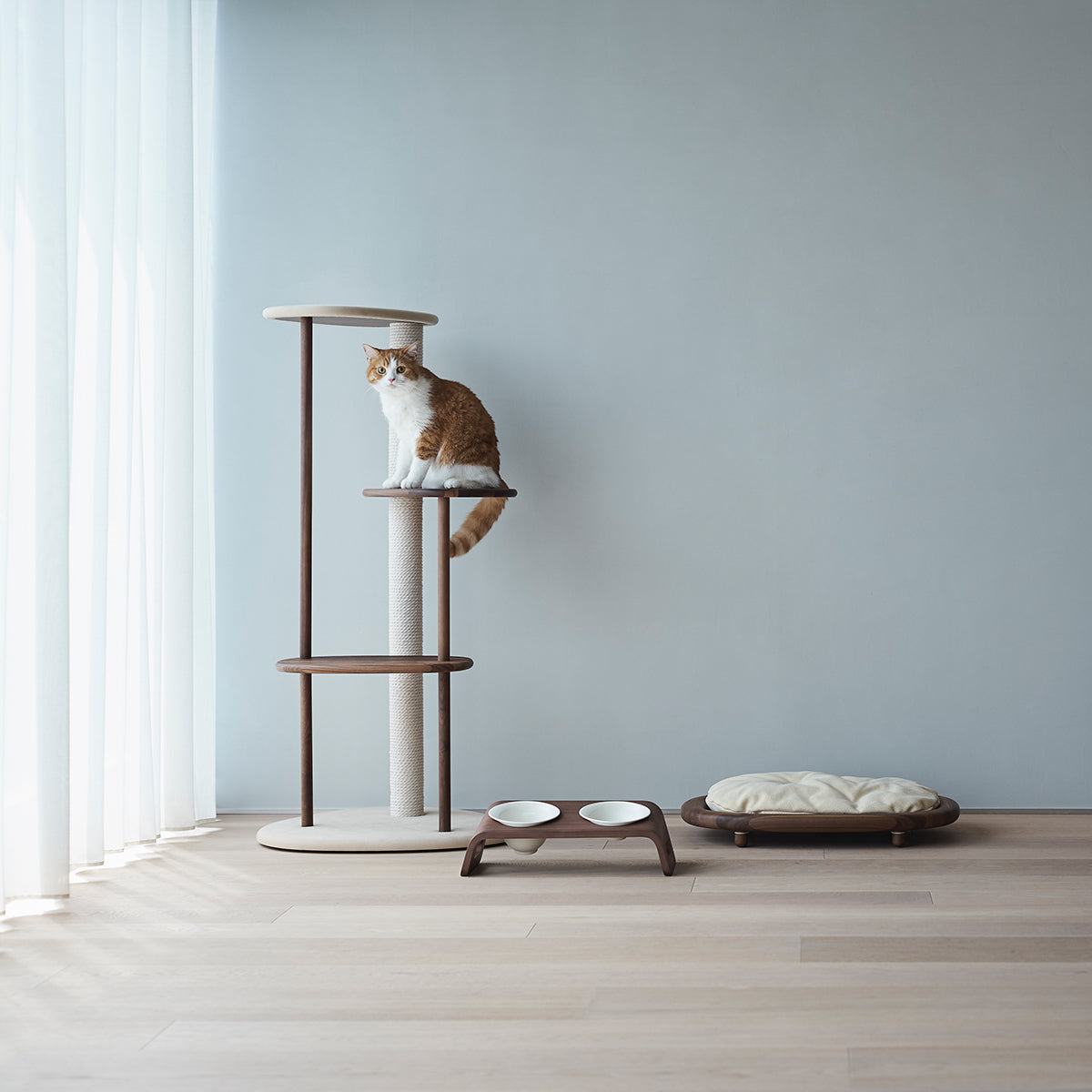 Stylish & Practical: Luxury Wooden Cat Tree in Australia by Karimoku Cat