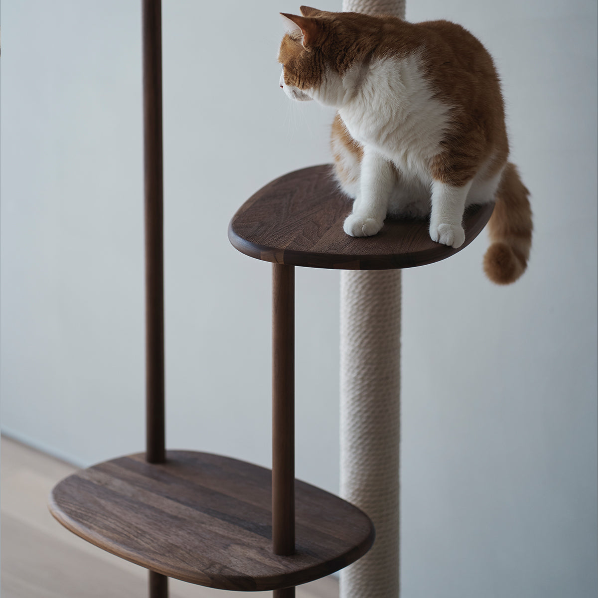 Stylish & Practical: Luxury Wooden Cat Tree in Australia by Karimoku Cat