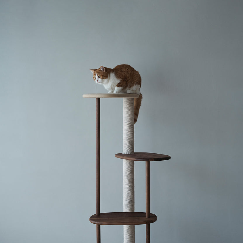 Stylish & Practical: Luxury Wooden Cat Tree in Australia by Karimoku Cat