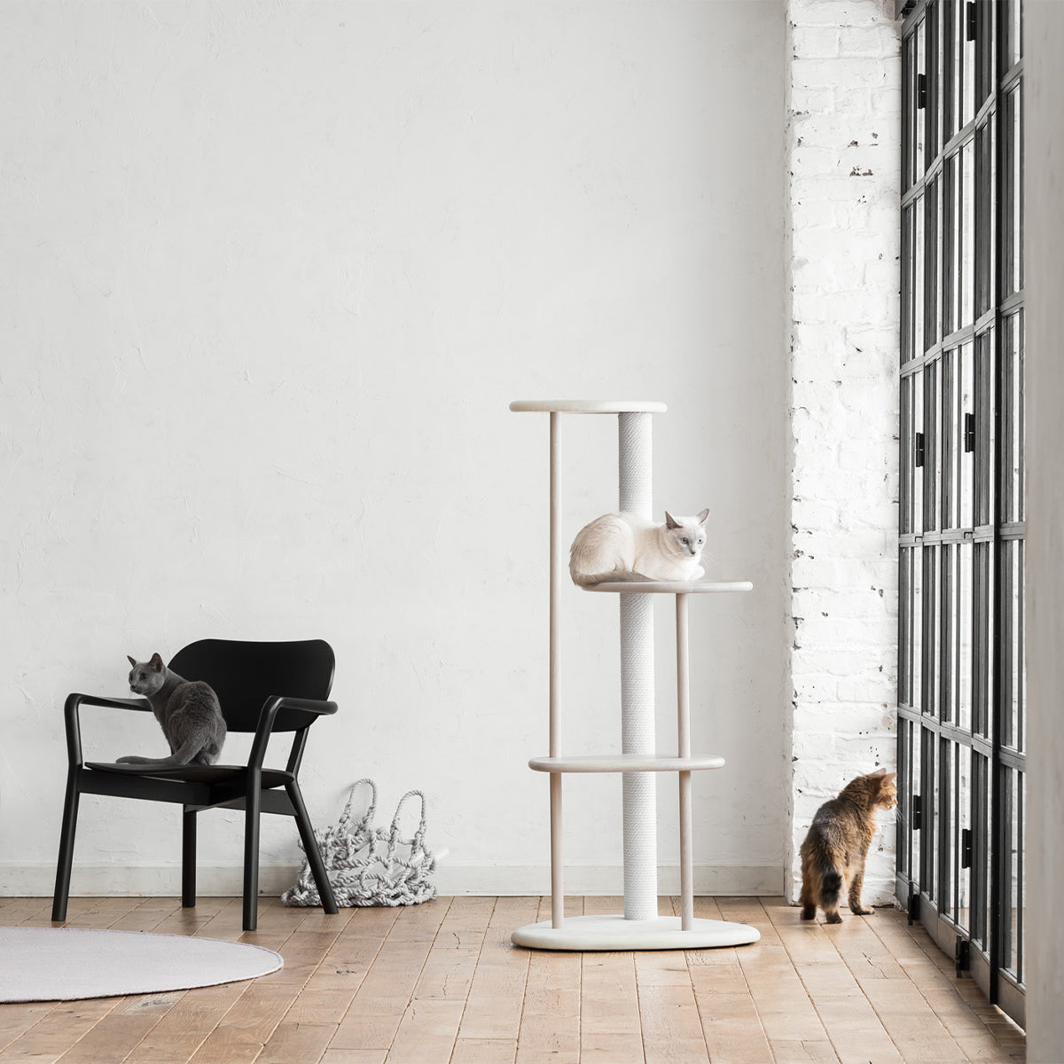 Sustainable & Stylish Cat Tree | Handmade in Japan