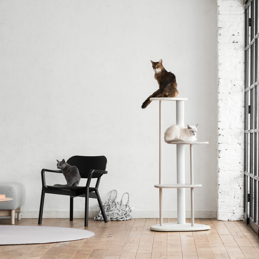 Sustainable & Stylish Cat Tree | Handmade in Japan